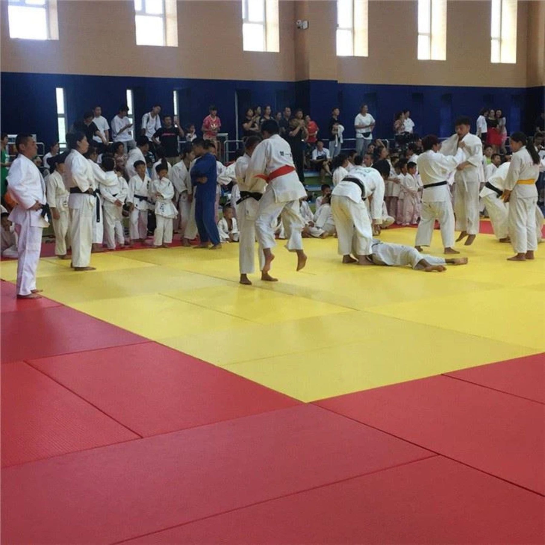 IJF Approved Judo Mats | Tatami Martial Arts Mats for Training ...