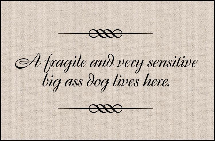 Funny Doormat I Fragile Dog I Olefin Doormat – Mat Supplier Group